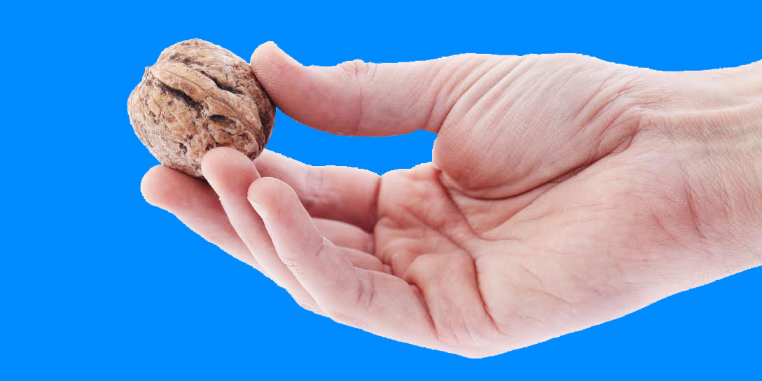 5 Reasons to Spend Time Getting to Know Your Prostate | Hornet, the ...