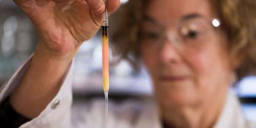 A Colorful Scientific Discovery: The First Life on Earth Was Pink ...